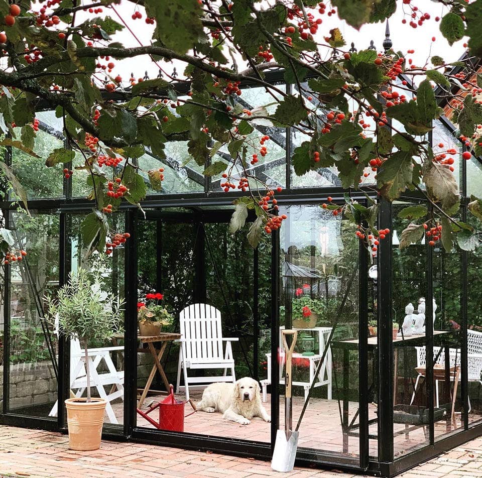 10x20 Janssens Modern Pent Roof Greenhouse
