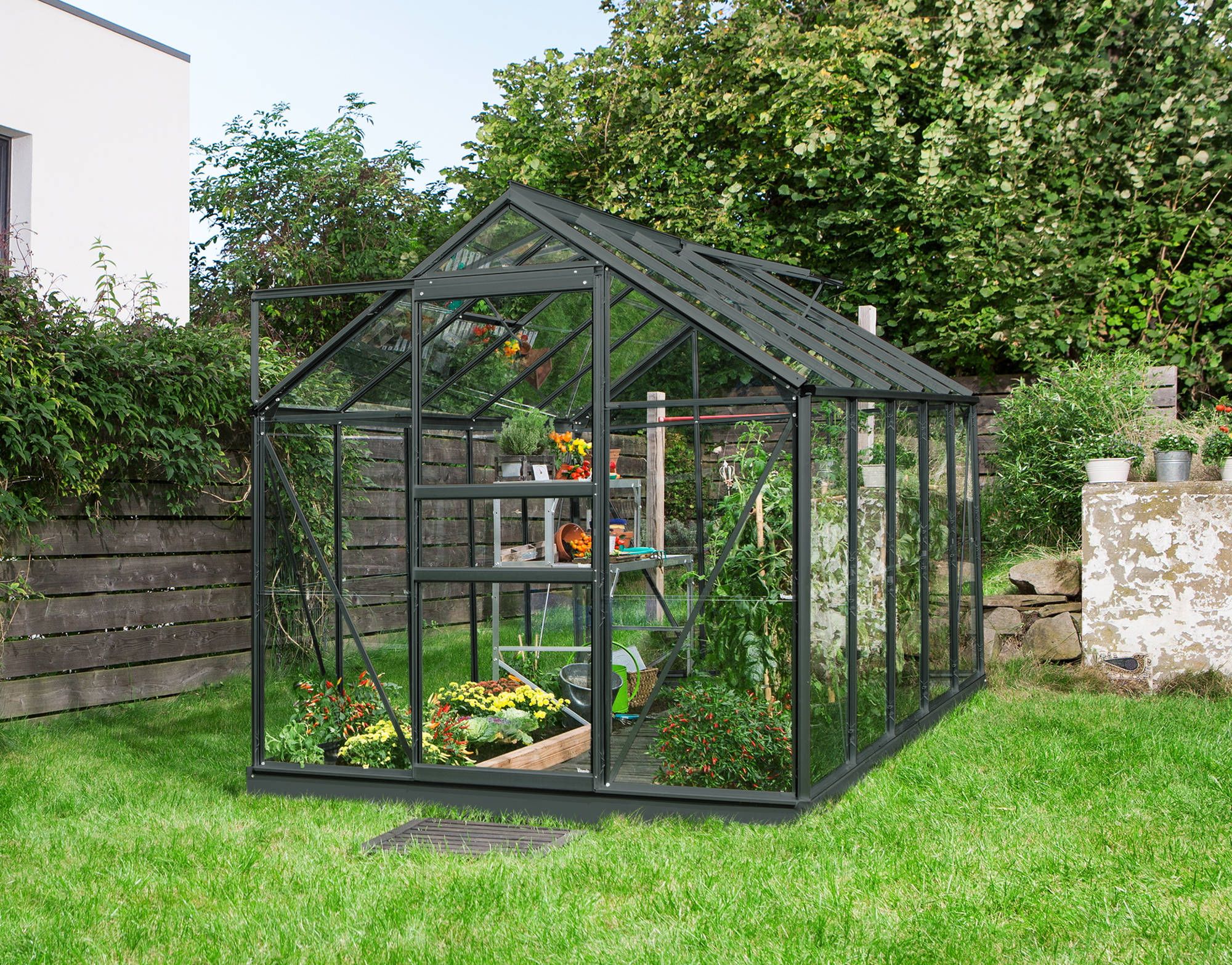Vitavia 6x10 Black Venus 6200 Greenhouse Horticultural