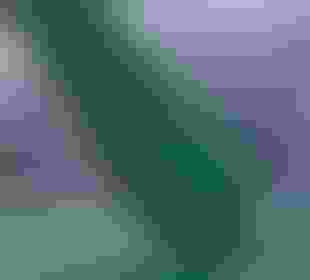 Elite Easygrow 2x8 Lean to Greenhouse Toughened