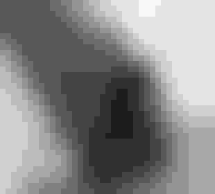 Elite Easygrow 2x8 Lean to Greenhouse Toughened