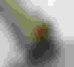 Elite Easygrow 2x8 Lean to Greenhouse Toughened