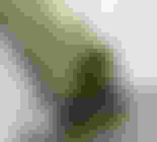 Elite Easygrow 2x8 Lean to Greenhouse Toughened