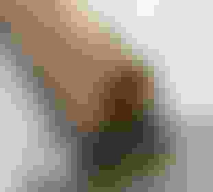 Elite Easygrow 2x8 Lean to Greenhouse Toughened