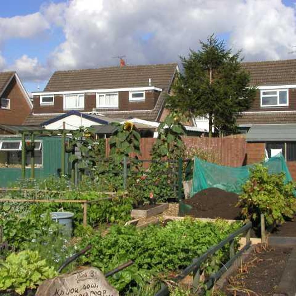 How to Get An Allotment