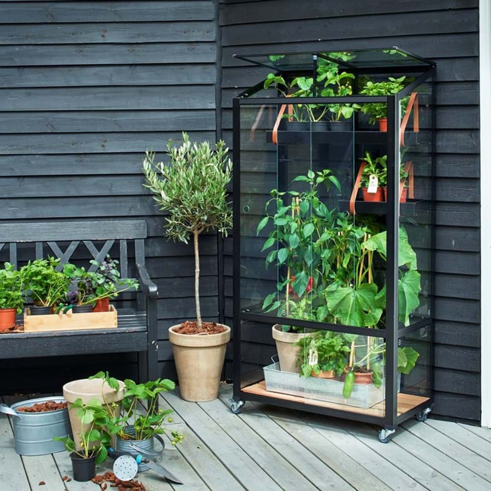 Urban Gardening UK: Grow Food on Balconies & Small Gardens