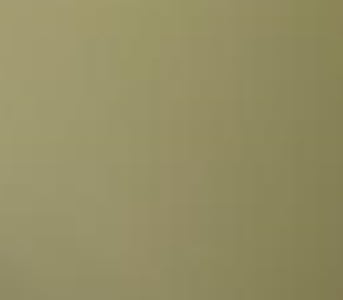 Elite 8x10 Dwarf Wall Greenhouse Toughened | SPRING SALE