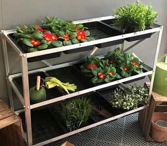 Elite Streamline 5x6 Greenhouse Horticultural | SPRING SALE