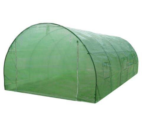 Polytunnel 6m x 3m 25mm Frame | SUMMER SALE