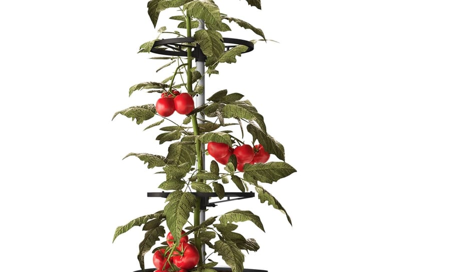 Gardenico Self Watering Tomato Climber Pot 29cm