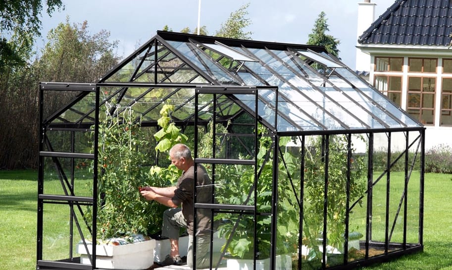 Vitavia 8x14 Black Jupiter 11500 Greenhouse Polycarbonate