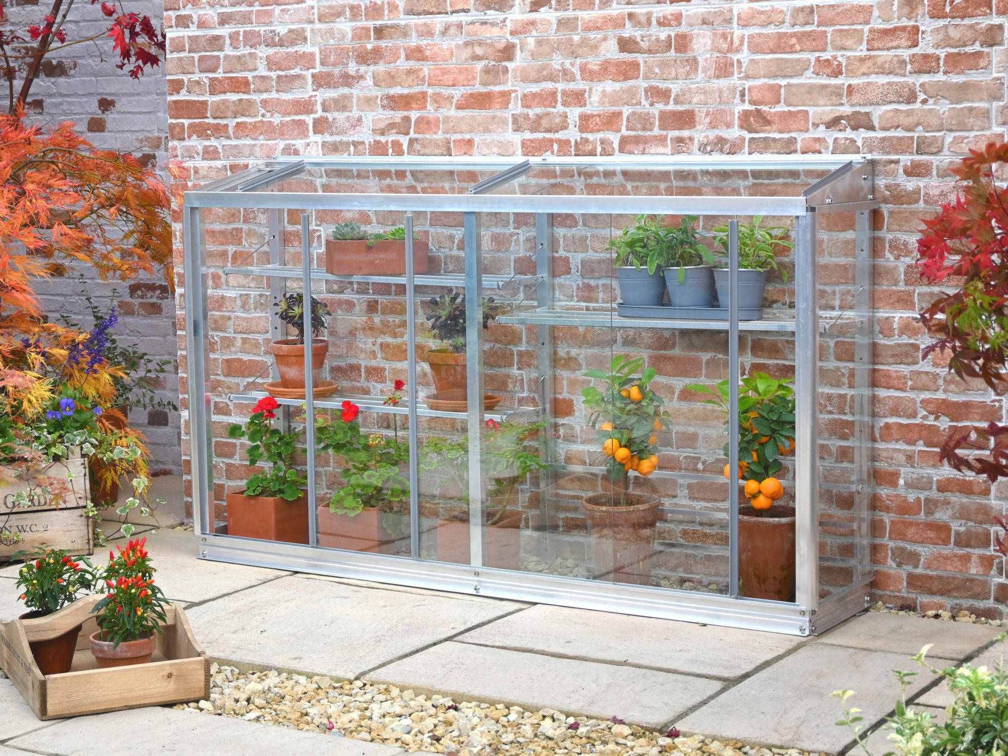 Small Lean To Greenhouse Wallscape Lean To Greenhouse No Back 6 X