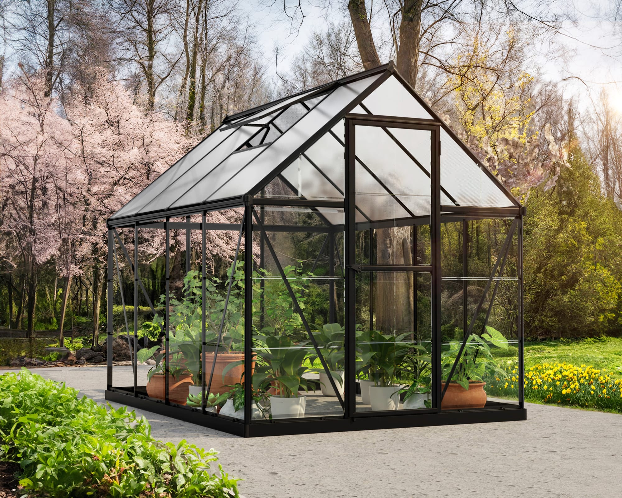 Black Window Greenhouse